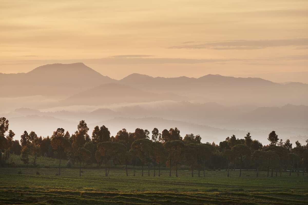 Circuit Rwanda : L'essentiel du Rwanda - Kuoni Voyages