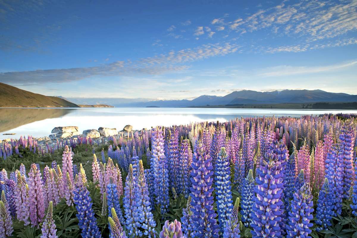 Rundreise Neuseeland: Grosse Neuseeland Rundreise - Kuoni Reisen