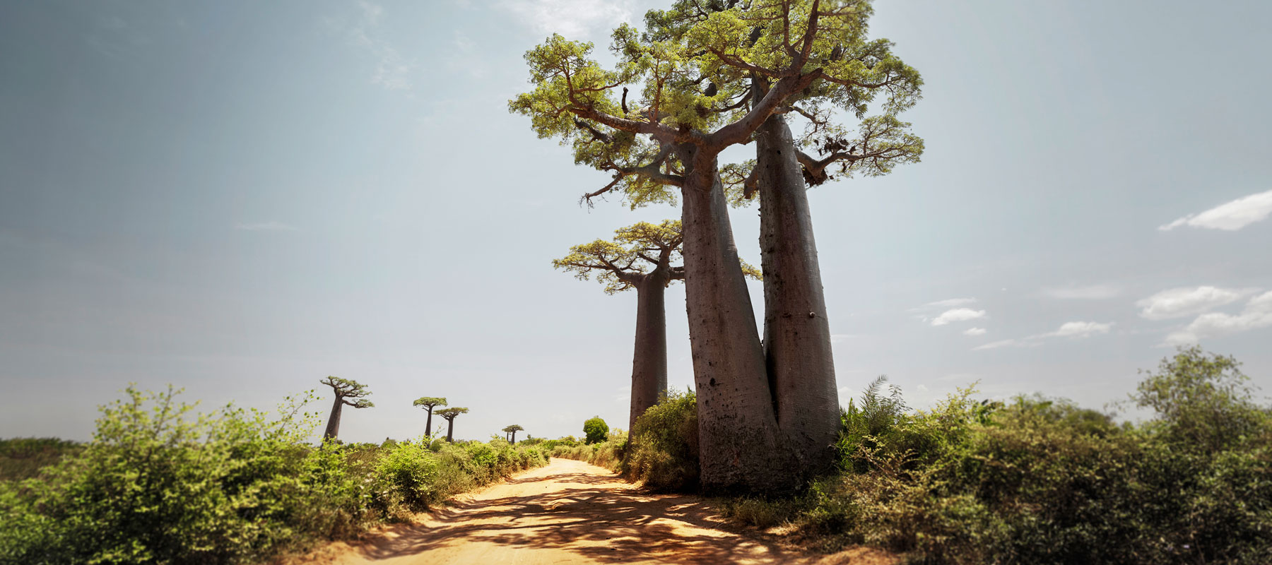 Récit de voyage Madagascar : Paradis solitaire dans l'Océan Indien ...