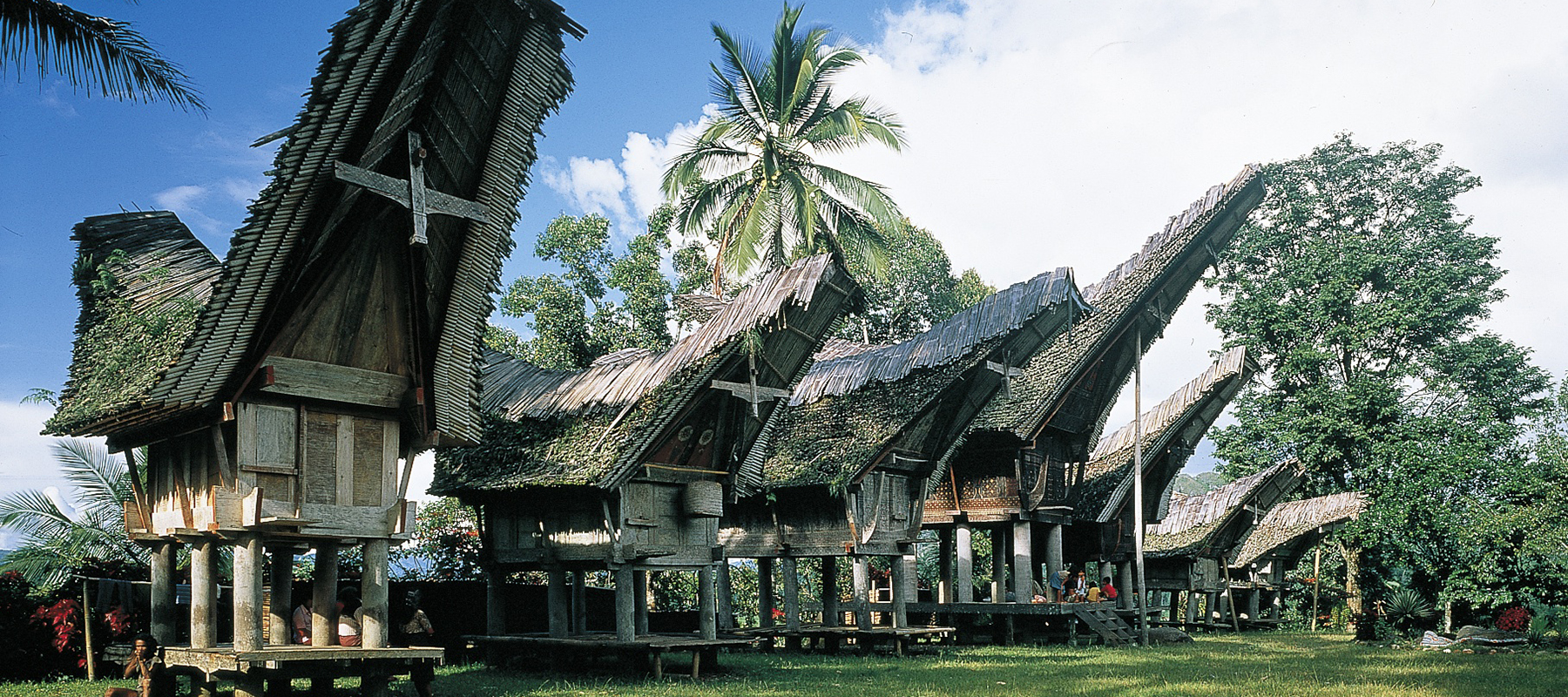 Reisebericht Indonesien: Sulawesi - Insel der Kontraste - Kuoni Reisen