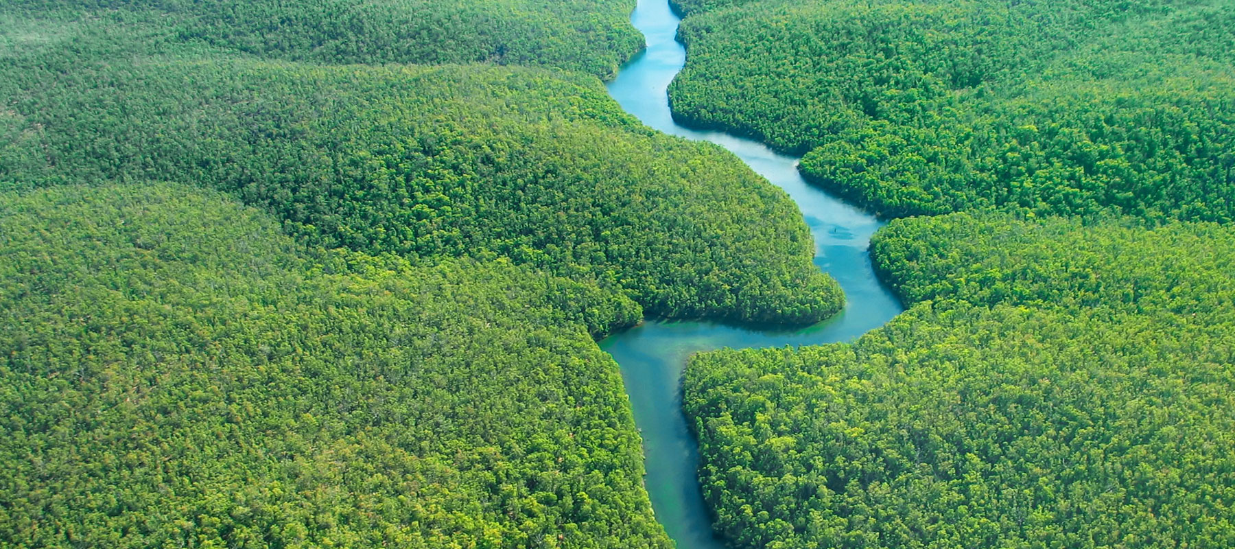 Reisebericht: Ungezähmte Natur im Amazonas - Kuoni Reisen