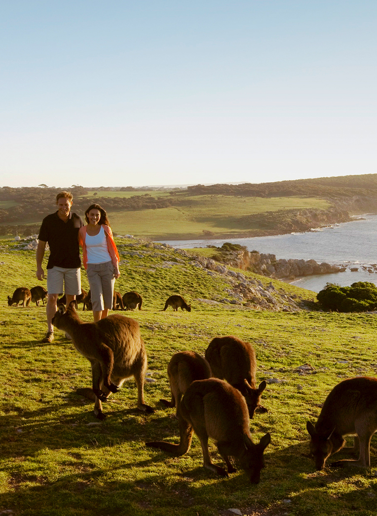 Honeymoon Australien & Polynesien – Romantik, Luxus & Abenteuer - Kuoni ...